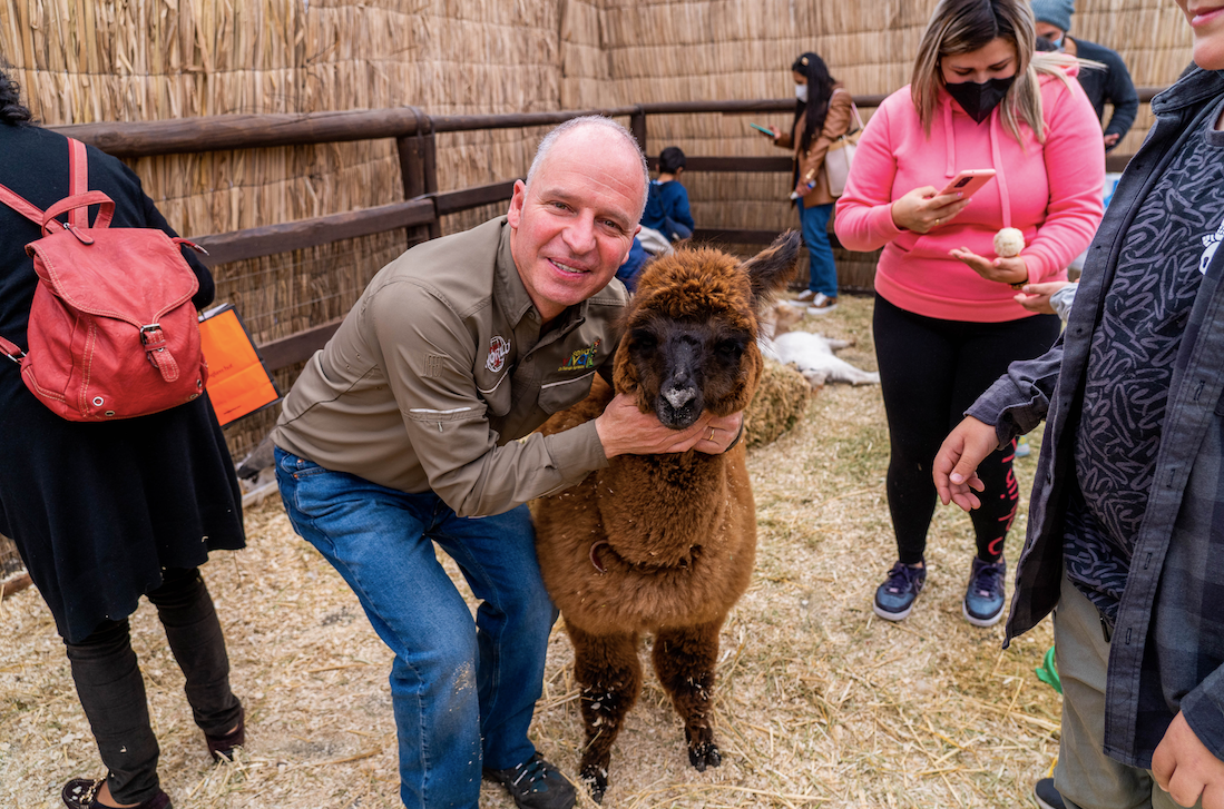 Llega a Antofagasta muestra interactiva de animales exóticos más ...
